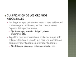 Clase5 peritoneo | PPT