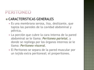 Clase5 peritoneo | PPT