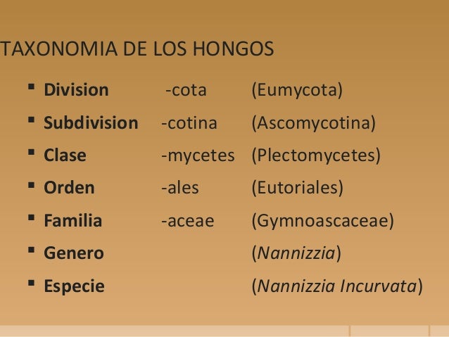 Clase 5 taxonomia y clasificacion de los hongos 2015