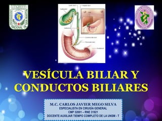 Clase 5 Vesícula y Conductos Biliares.pptx