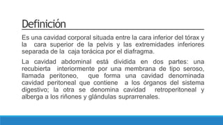 Clase 6 salud - Anatomia Abdomen II.pptx