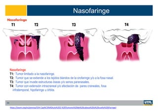 CLASE 6 CANCER DE CABEZA Y CUELLO aall (1).pptx
