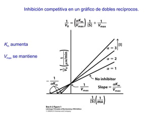 Clase 6 cinetica enzimas | PPT