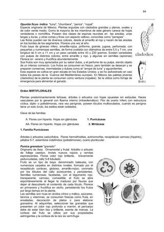 Clase 6 Corolianos De Ovario Infero | PDF