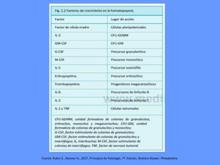 Clase 6 El Sistema Linfoide: componentes.pptx
