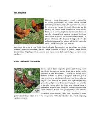 Clase6 razas | DOCX