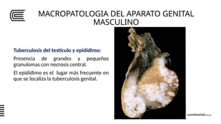 CLASE 7 UC - Técnicas de necropsia y patología forense | PPTX