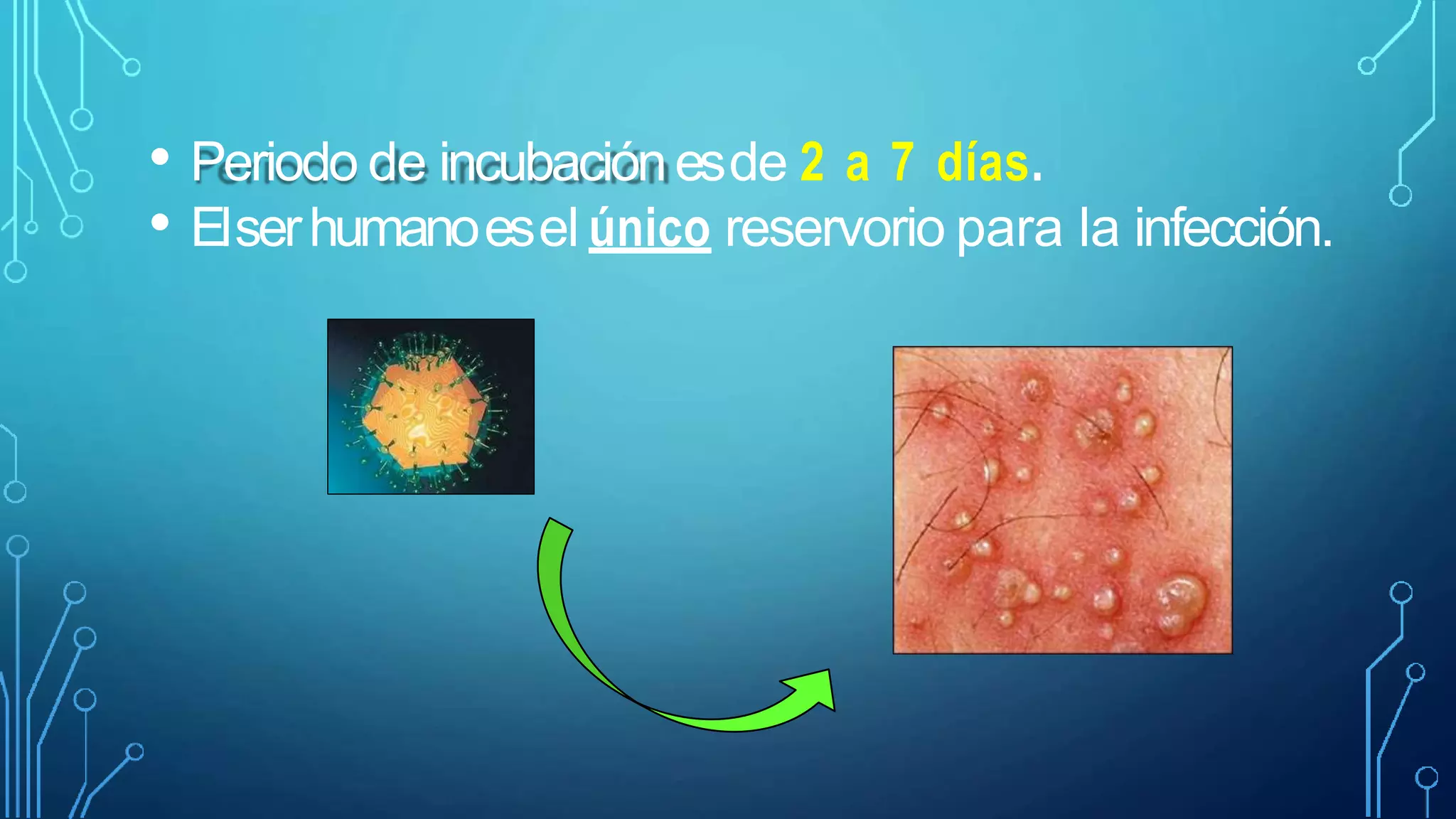 CLASE 7 - Enfermedades de transmisión sexual en el varon - II parte (R ...