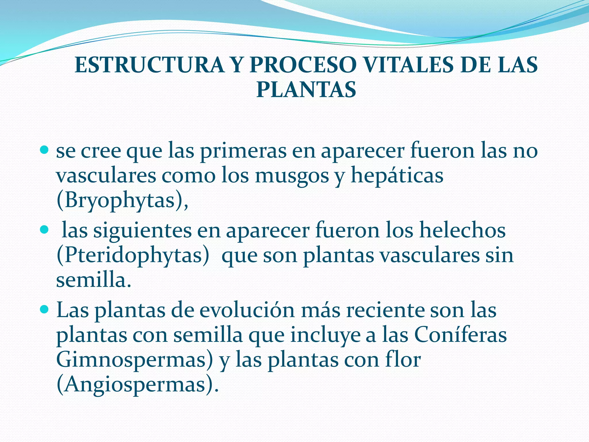 Clase 7.estructura de_las_plantas | PPT