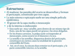 Clase 7.estructura de_las_plantas | PPTX