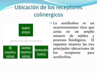 Clase 7-nervioso (1).pptx