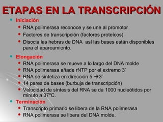 Clase 7 organización del genoma humano | PPT