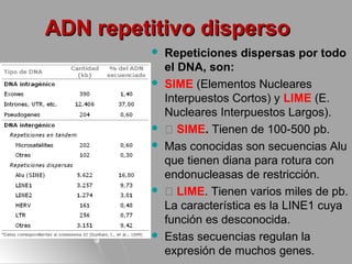 Clase 7 organización del genoma humano | PPT