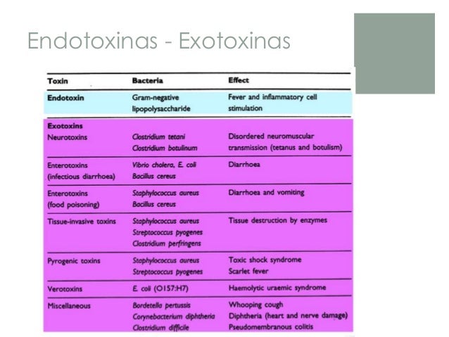 Cuadros Comparativos Entre Endotoxina Y Exotoxina Cuadro Comparativo Images