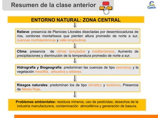 Clase 7 entorno natural zona sur y zona austral | PPT