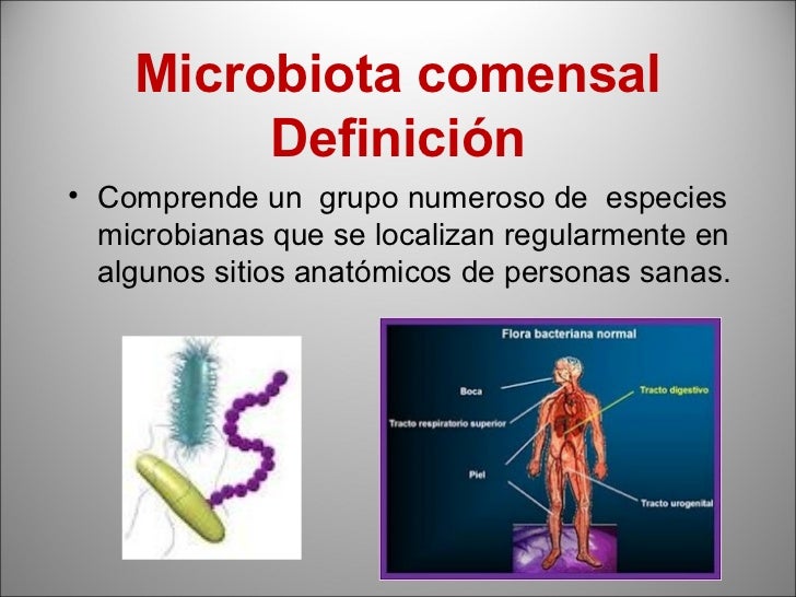 Clase 7 flora microbiana normal