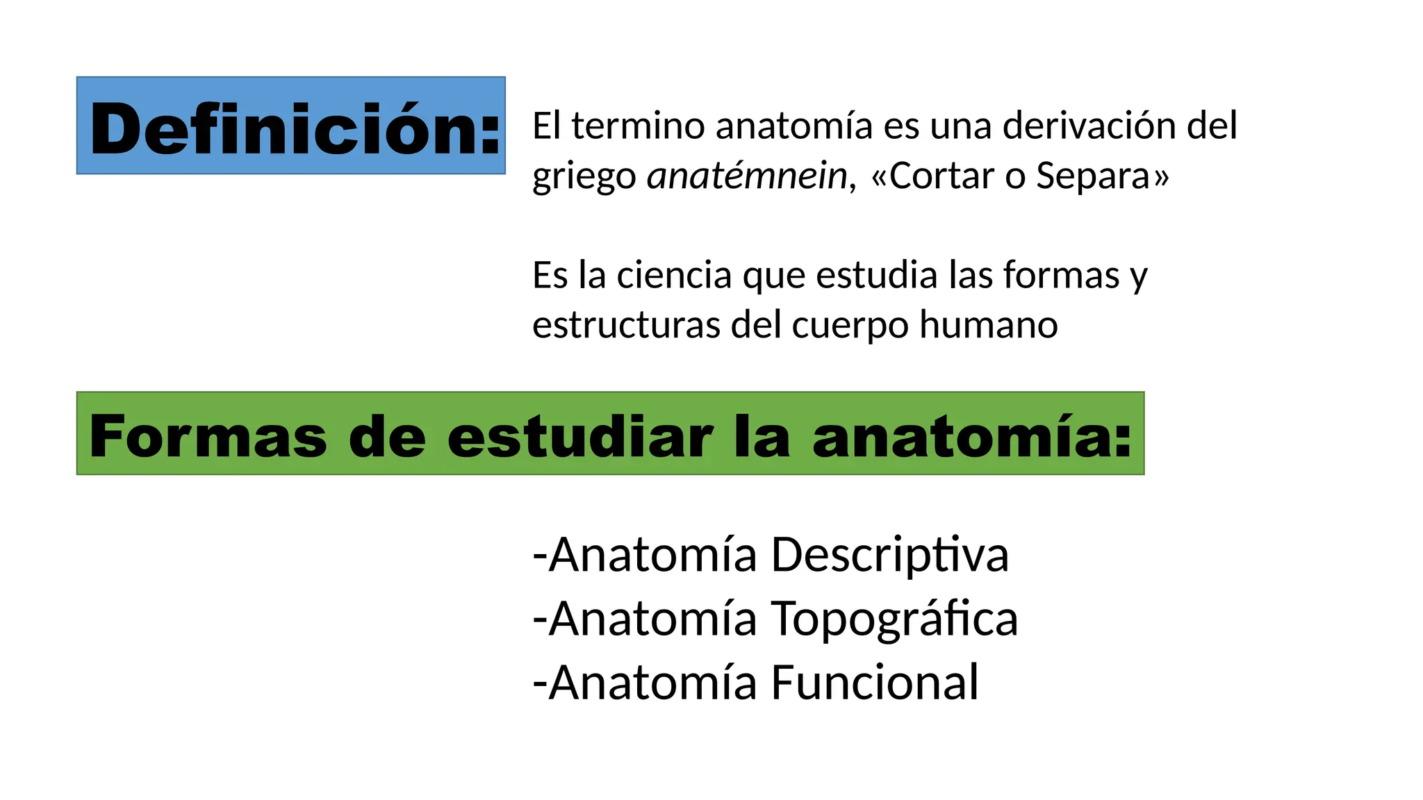 ANATOMIA FUNCIONAL SISTEMA OSEO . PRESENTACION | PPTX
