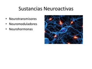 Clase 7 Tejido Nervioso | PPTX