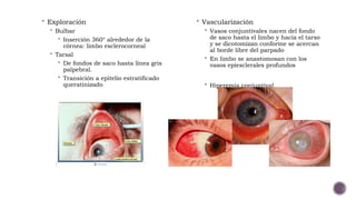 Clase 8 de oftalmología Conjuntiva.pptx