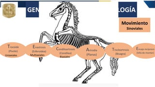 Clase 8 Generalidades de la Artrología 2.pdf