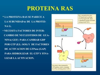 Clase 9 mecanismos de señalizacion celular parte 2 | PPT