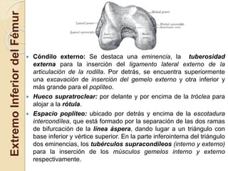 Clase 9 Miembro Inferior Osteologia 2023.pdf