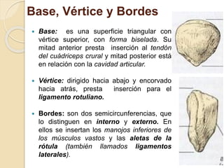 Clase 9 Miembro Inferior Osteologia 2025.pdf