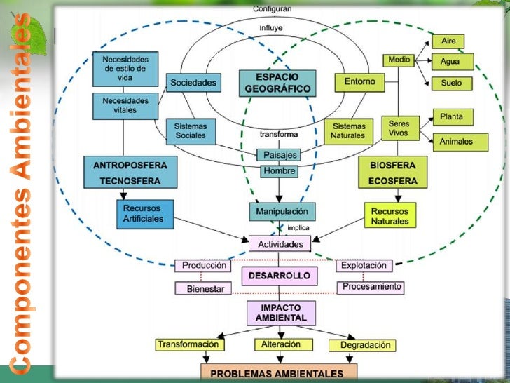 Antroposfera Mapa Conceptual - jlibalwsap
