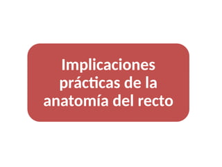 clase Anatomía del ano-recto_ relaciones, vascularización e inervación ...