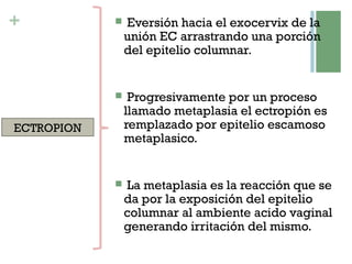 Clase anatomia cuello .citologia | PPT
