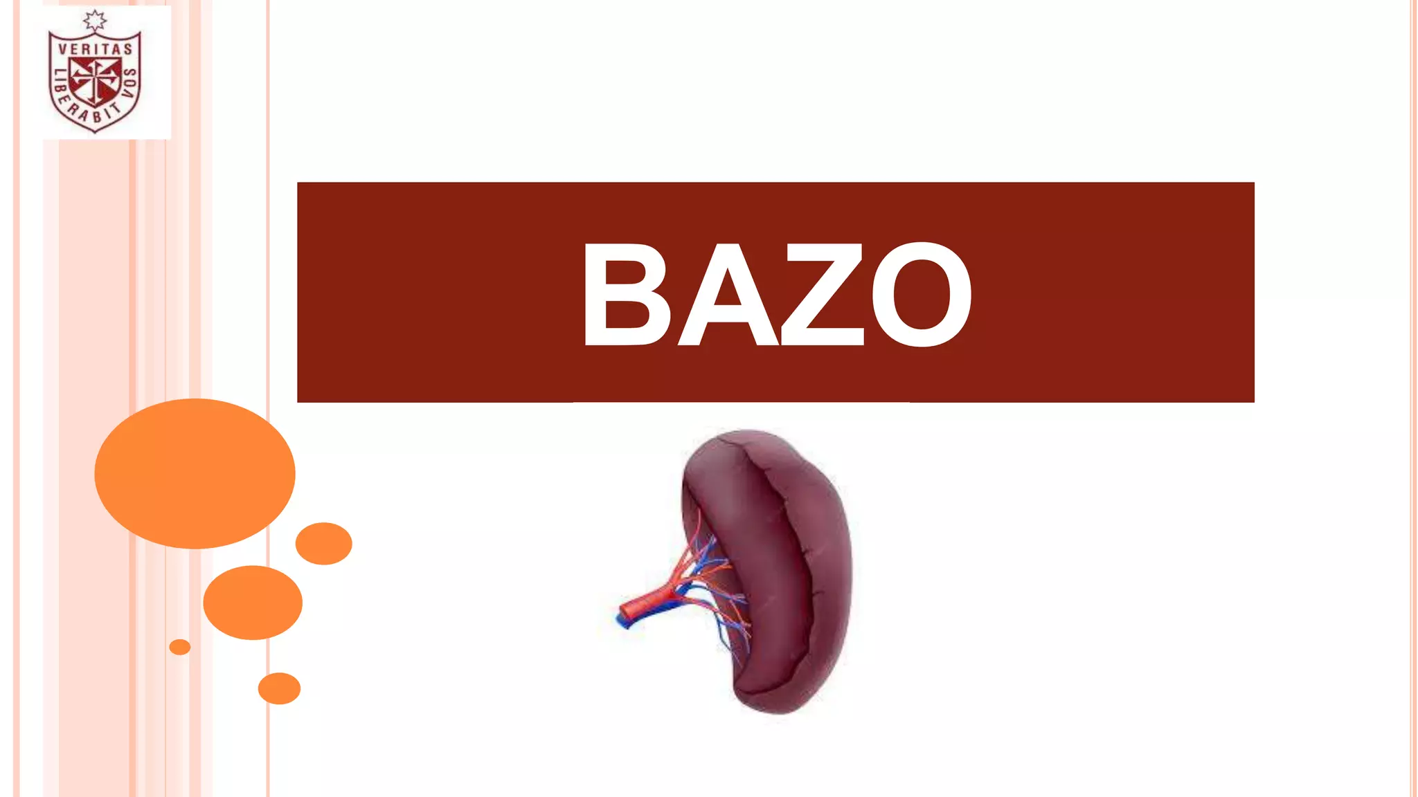 CLASE_ANATOMIA_DE_BAZO,_PANCREAS,INT._DELG._INTES_GRUESO,_RECTO_Y_ANO[1 ...