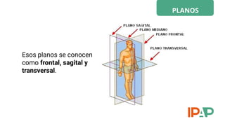 CLASE ANATOMIA HUMANA GENERALIDADES PARTE 1 | PPTX