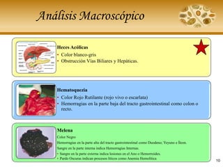 Módulo I, Tema 2: Análisis Integral de las Heces | PDF