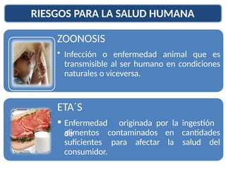 Clase inicial de Bienestar y salud Animal | PPTX