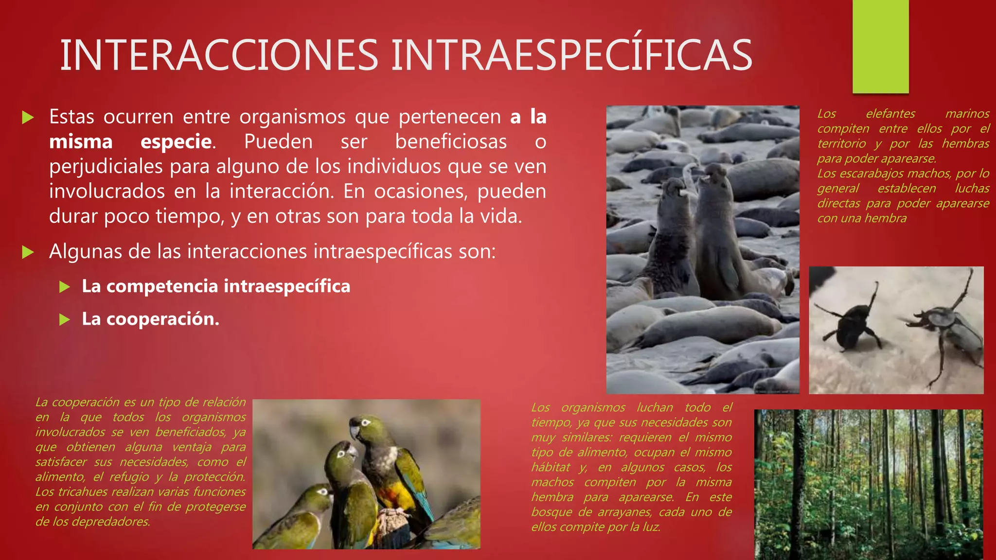 Interacciones biologicas | PPTX