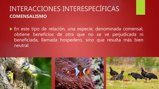 Interacciones biologicas | PPTX