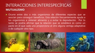 Interacciones biologicas | PPTX