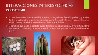 Interacciones biologicas | PPTX