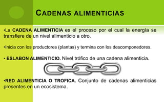 Clase Cadena Alimenticia.ppt