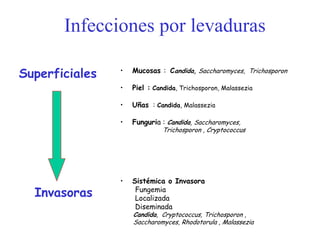 Clase micologia y microbiología_Candida.pdf
