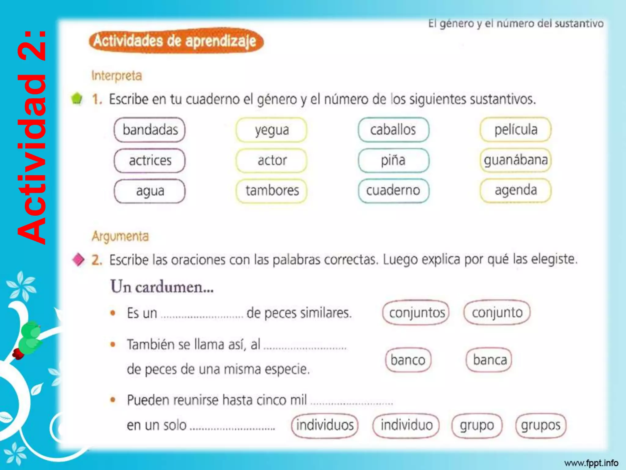 Clase castellano 3-06-17-19_genero y numero del sustantivo | PPT