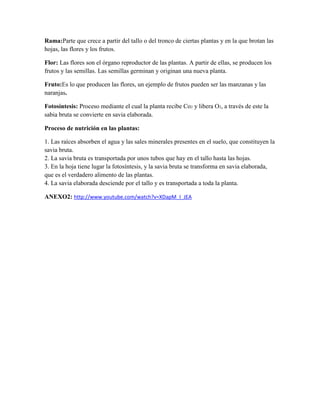 Clase ciencias 2 (alimentación de las plantas) | DOCX