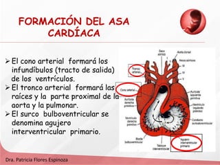 Desarrollo embrionario del sistema Cardiovascular | PPTX