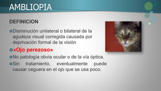 Clase de ambliopia | PPT