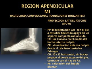CLASE DE ANATOMIA RADIOLOGIA REGION APENDICULAR | PPTX