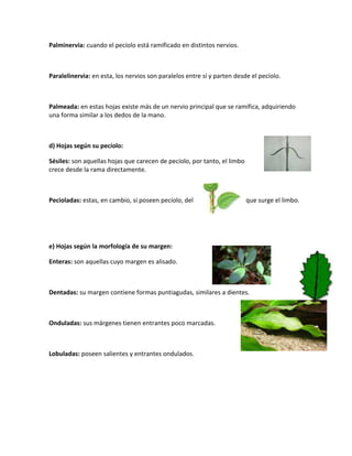 Clase de biologia | DOCX