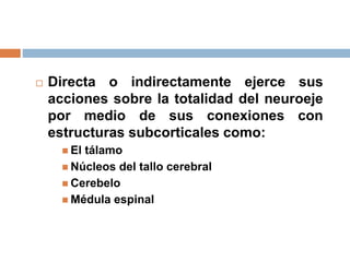 CLASE DE CEREBRO 4.pptx