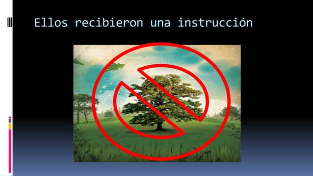 Clase decisiones y consecuencias | PPTX