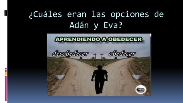 Clase decisiones y consecuencias | PPTX