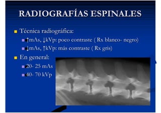CLASE DE COLUMNA VERTEBRAL.............pdf